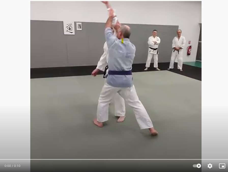 Technique Shomen-uchi komi dori - Cercle Étudiants Arts Martiaux ...