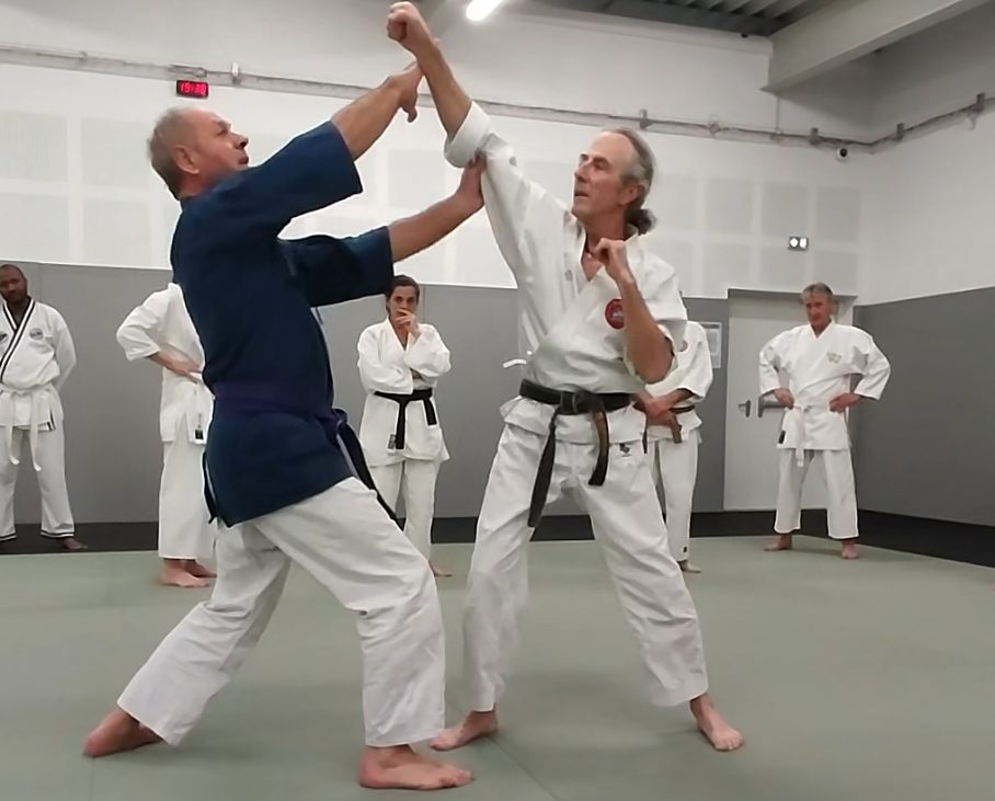 Technique avec finition nidan sur attaque tsuki jodan - Cercle ...